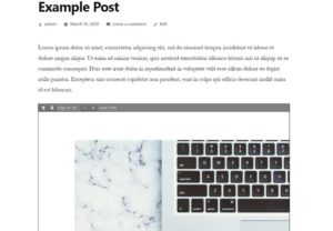 How to Embed PDFs in WordPress: Step By Step Guide - WIREDGORILLA