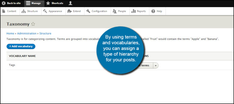 How To Use Taxonomy in Drupal - WIREDGORILLA