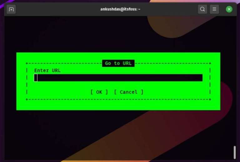 You can Surf Internet in Linux Terminal With These Command Line ...
