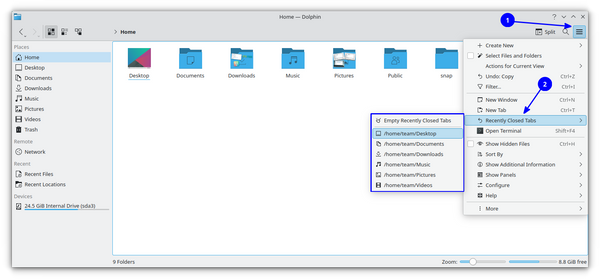 17 Dolphin File Manager Tweaks for KDE Users - WIREDGORILLA