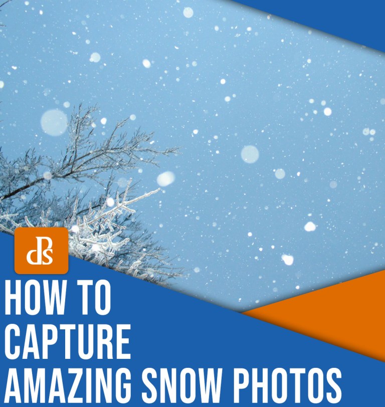 19 Snow Photography Tips (How to Capture Magical Snow Shots) - WIREDGORILLA