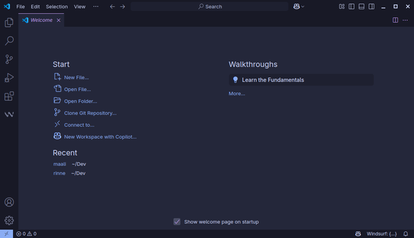 Installing VS Code on Arch Linux Takes Some Thinking - WIREDGORILLA