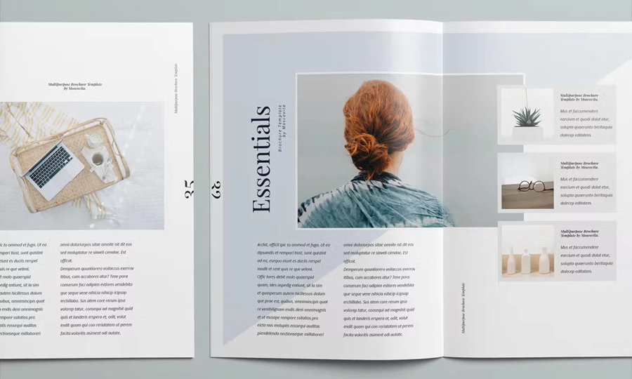 The 15 Best Product Catalog Templates for InDesign in 2025 - WIREDGORILLA