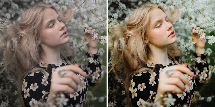 20+ Free Analog Film Lightroom Presets for Photographers in 2025 ...