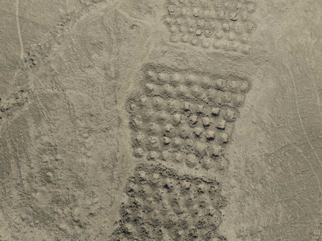 Improving CSS Shapes with shape() — Part 3: Curves - WIREDGORILLA